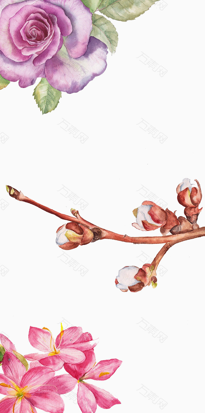 手绘花卉png元素素材图片下载 万素网